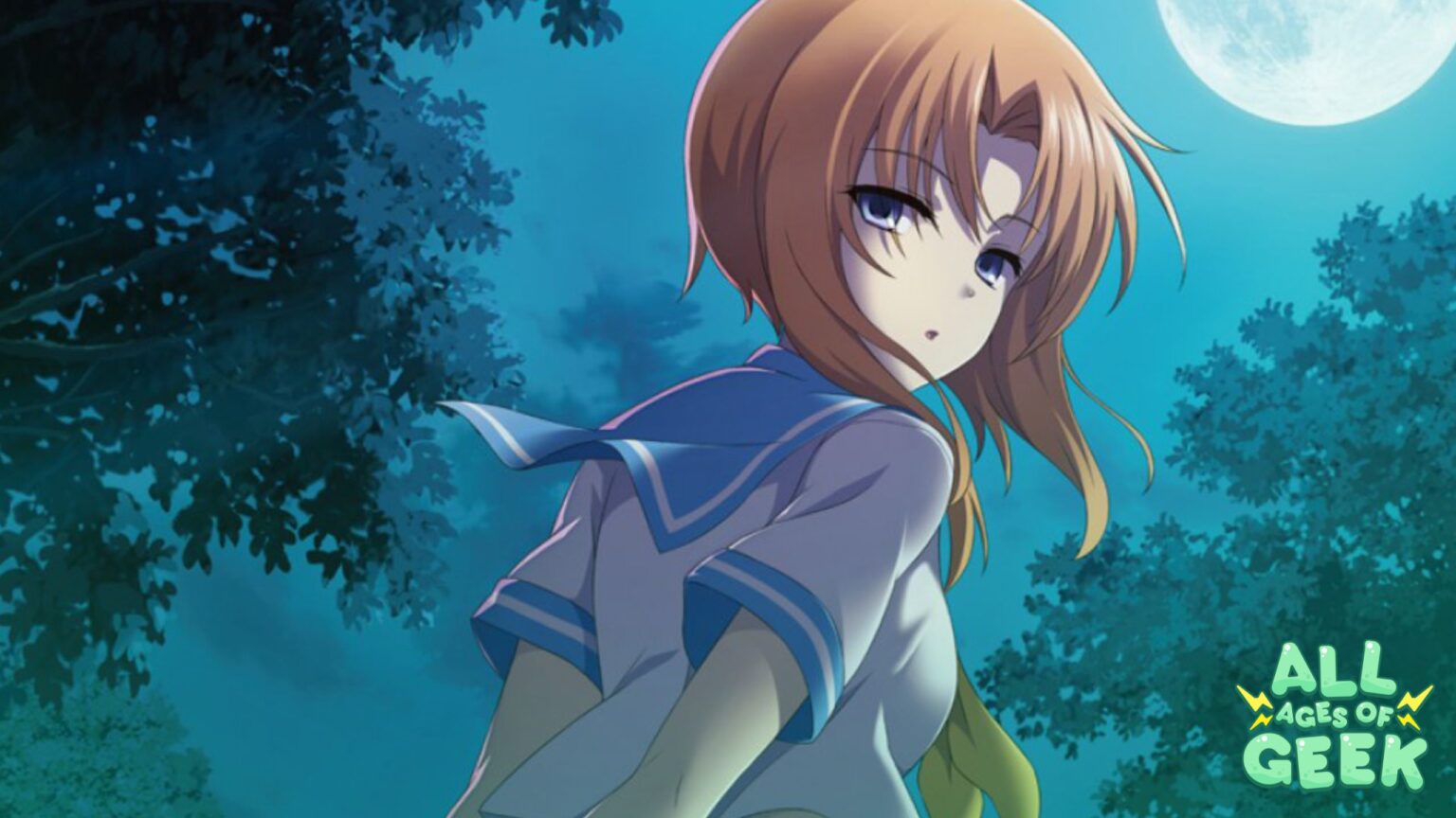 What Are Some Of The Best Visual Novel Series? - All Ages of Geek