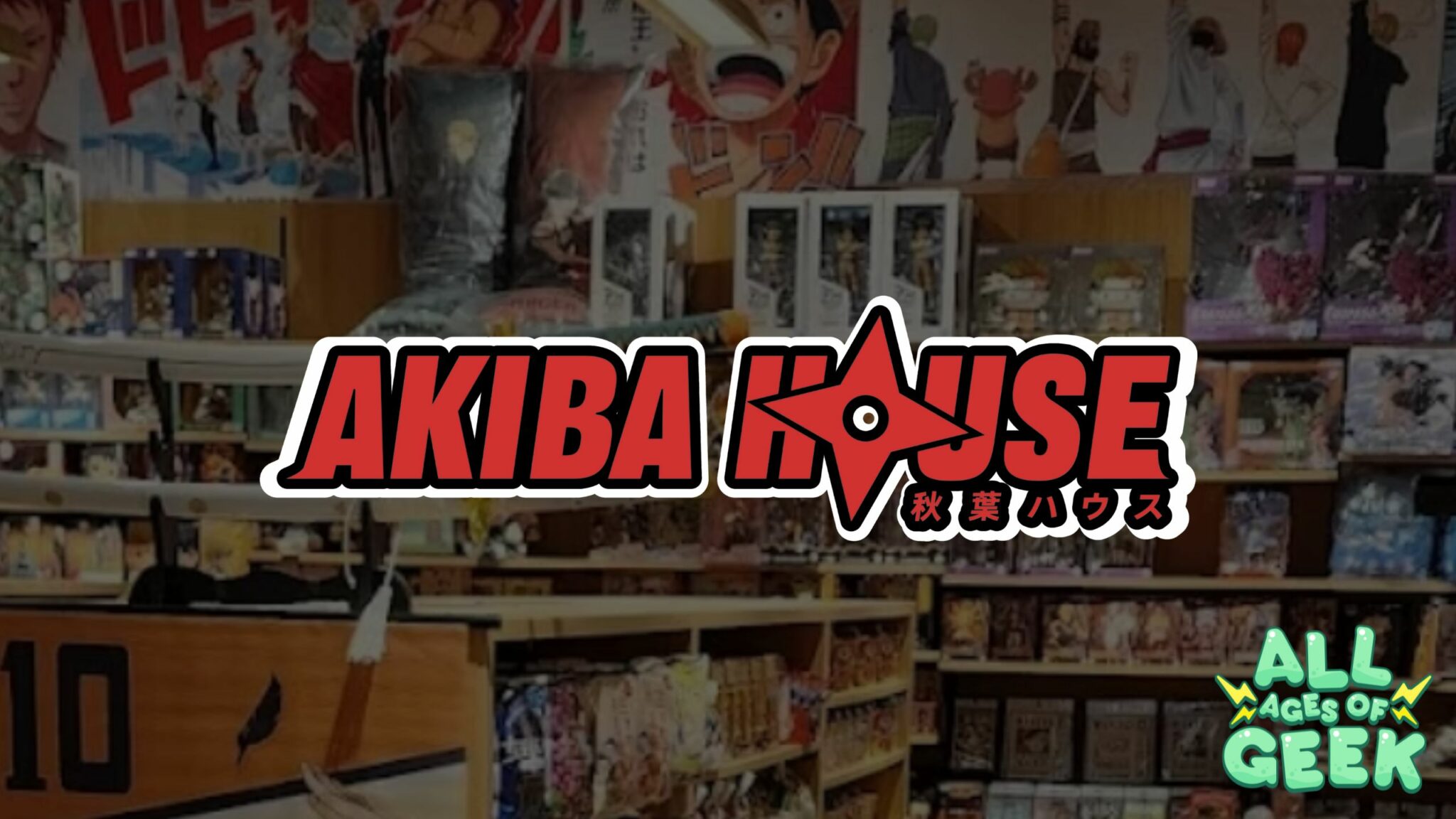 What is Akiba House New Jersey? - All Ages of Geek