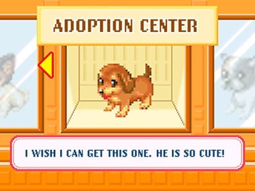 What is Dogz DS: Your Perfect Puppy Companion - All Ages of Geek